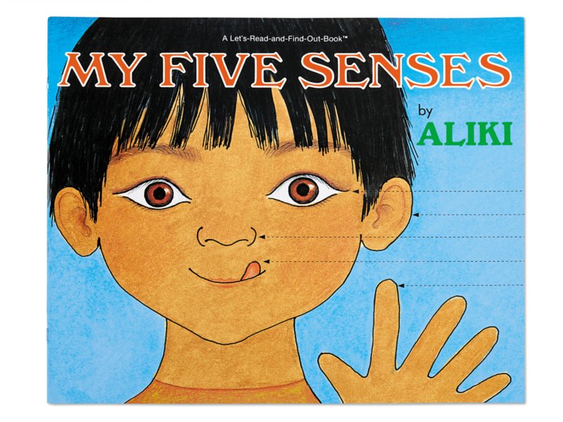 My Five Senses Book