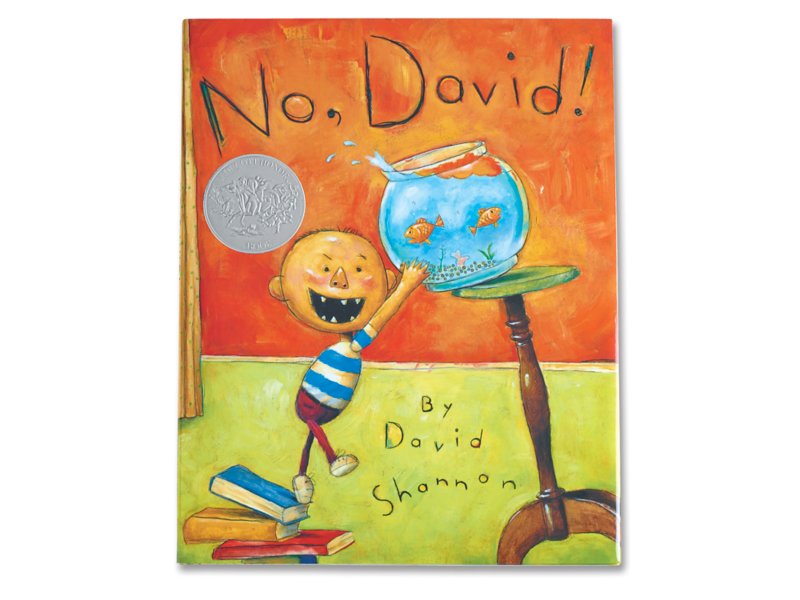No, David! Hardcover Book at Lakeshore Learning