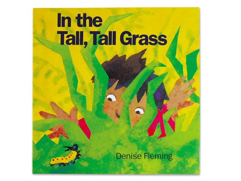 In the Tall, Tall Grass Big Book at Lakeshore Learning