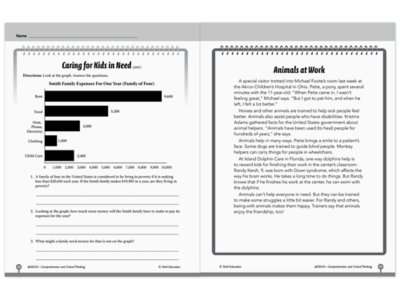 Comprehension and Critical Thinking Workbook - Gr. 3 at Lakeshore Learning