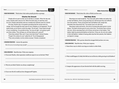 Daily Reading Comprehension Activities Workbook - Gr. 3 at Lakeshore ...