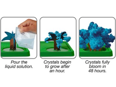 Wild Animals Magic Crystal Growing Kit at Lakeshore Learning