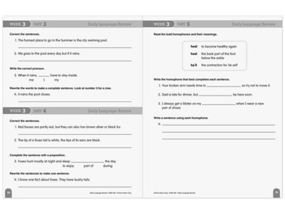 Daily Language Review Workbook - Gr. 3 at Lakeshore Learning