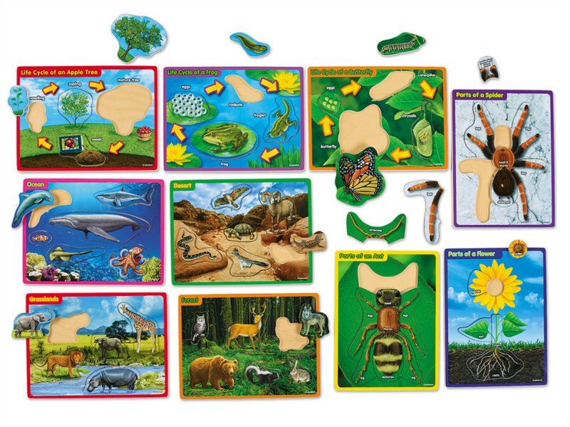Life Science Pictures For Kids