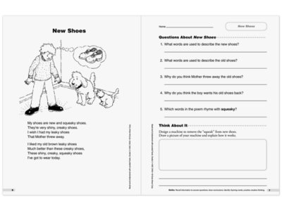 Read & Understand with Leveled Texts Workbook - Gr. 3