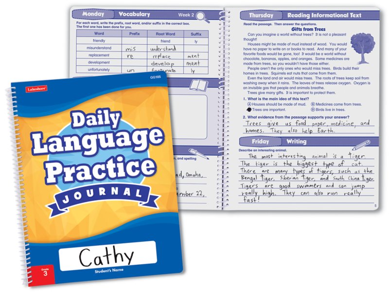 Daily Language Practice Journal - Gr. 3 at Lakeshore Learning