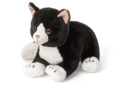 Pet Cat at Lakeshore Learning