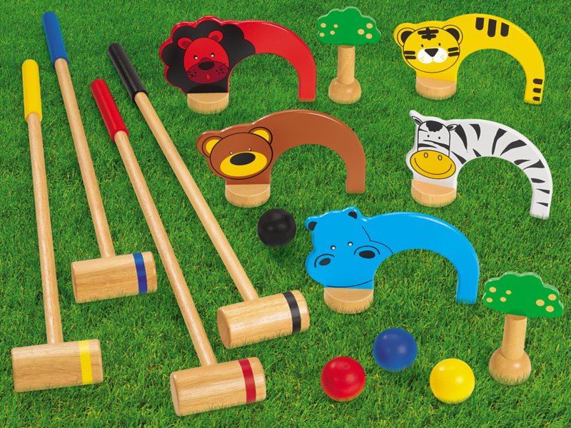 Croquet Ball Game