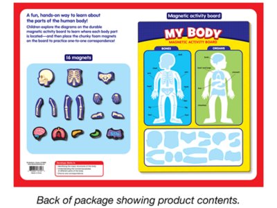 My Body Magnetic Activity Board at Lakeshore Learning