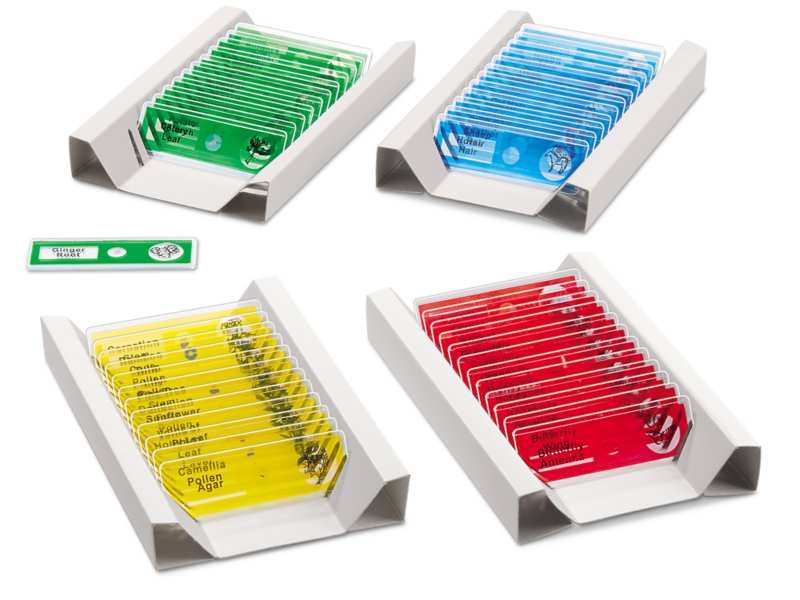 Prepared Slides - Complete Set at Lakeshore Learning