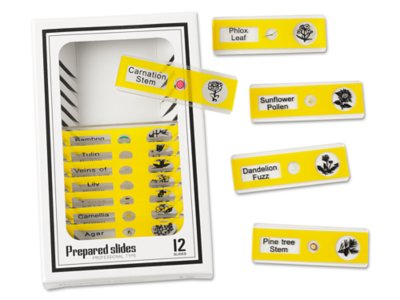 Plants Prepared Slide Kit at Lakeshore Learning