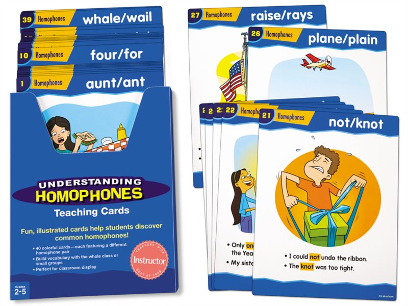 Understanding Homophones Teaching Cards at Lakeshore Learning