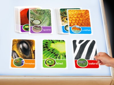 Nature Up Close! Light Table Slides at Lakeshore Learning