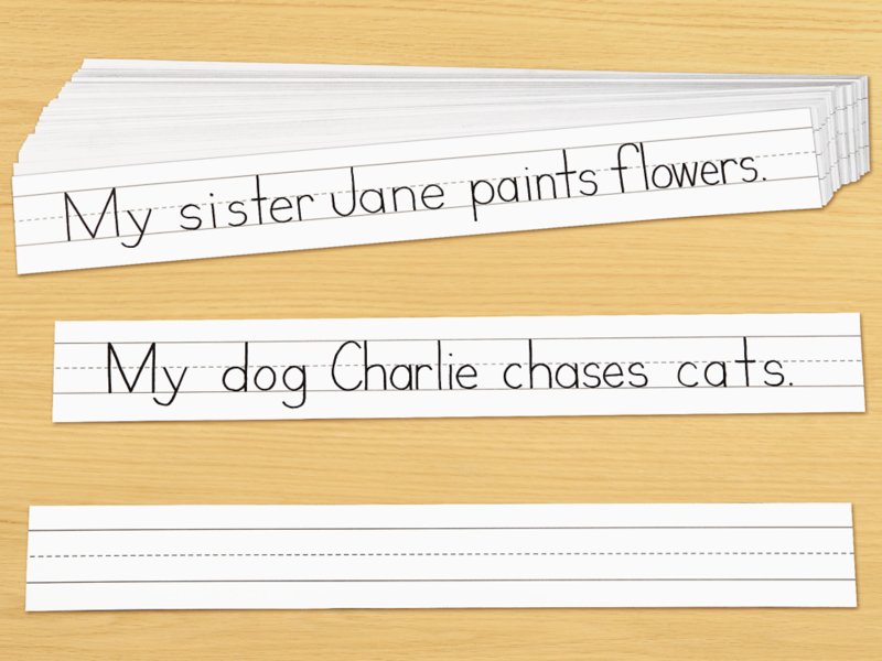 White Sentence Strips at Lakeshore Learning