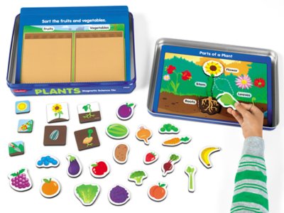 Animals Magnetic Activity Tin at Lakeshore Learning