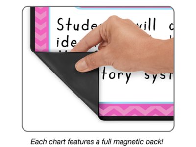 Magnetic Write & Wipe Organization Charts at Lakeshore Learning
