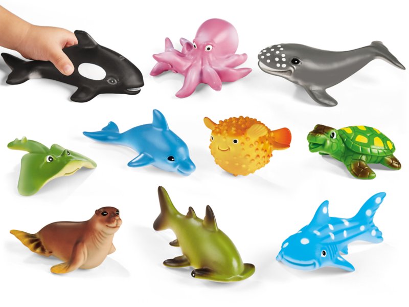 Soft Animals In Ocean