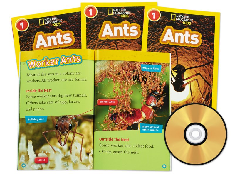 Ants Read-Along at Lakeshore Learning