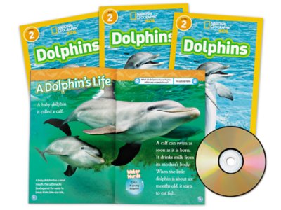 Dolphins Read-Along at Lakeshore Learning