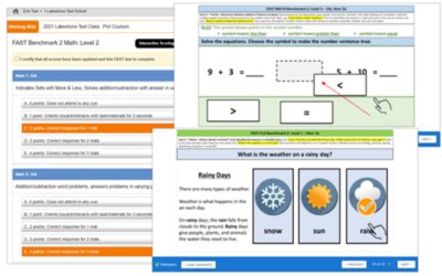 Formative Assessment (FAST) | SANDI | Lakeshore®