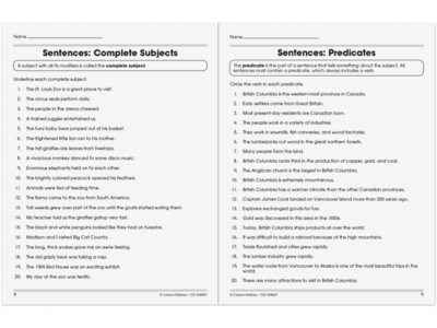 The 100+ Series™ Grammar Workbook - Gr. 5-6 at Lakeshore Learning