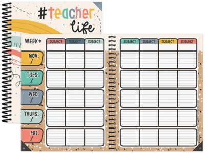 We Belong Lesson Plan Book at Lakeshore Learning