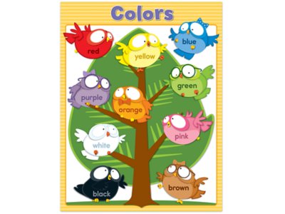Owl Pals Color Learning Poster at Lakeshore Learning
