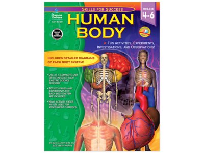 Human Body Workbook - Gr. 4-6 at Lakeshore Learning