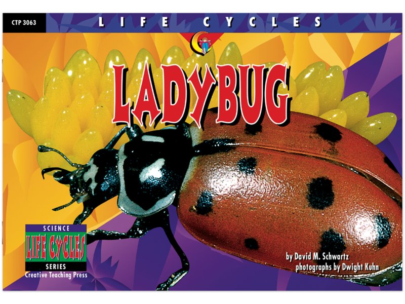 Ladybug Life Cycle: Emergent Reader - Level P at Lakeshore Learning