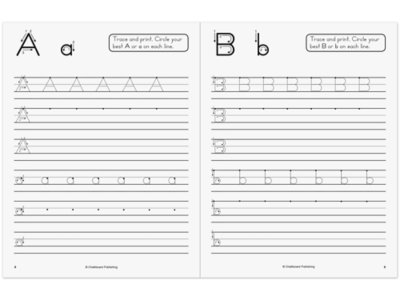 Daily Printing Practice Workbook at Lakeshore Learning