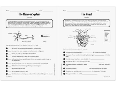 Science Activities Workbook - Gr. 5-6 at Lakeshore Learning