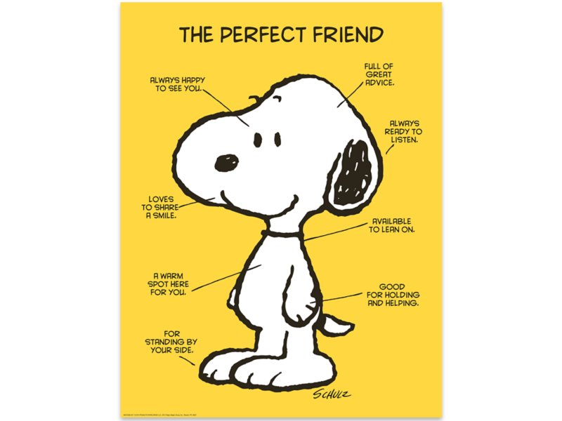 Peanuts® the Perfect Friend Poster at Lakeshore Learning