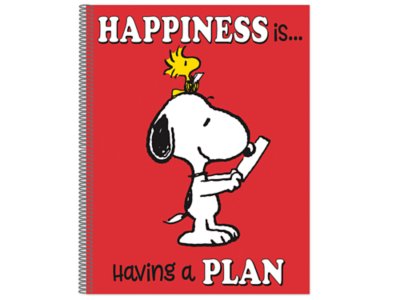 Peanuts® Lesson Plan Book at Lakeshore Learning