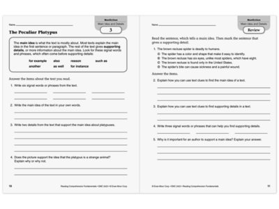 Reading Comprehension Fundamentals Workbook - Gr. 3 at Lakeshore Learning