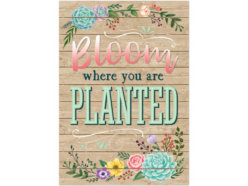 Rustic Bloom - Bloom Where You Are Planted Poster at Lakeshore Learning