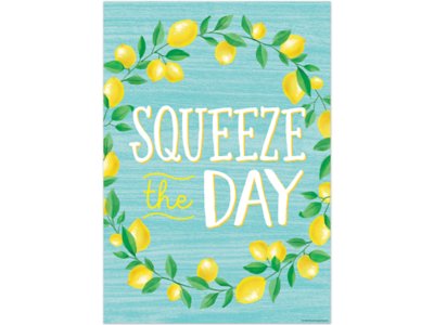 Lemon Zest Motivational Poster Pack at Lakeshore Learning
