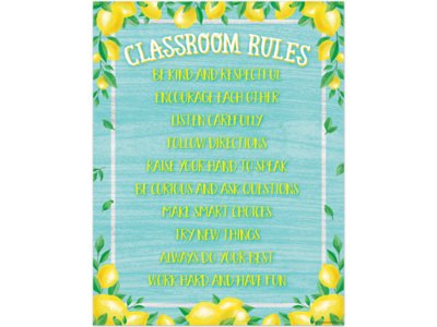 Lemon Zest Classroom Rules Poster at Lakeshore Learning