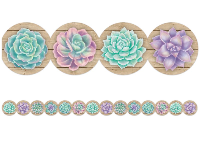 Rustic Bloom Succulent Border at Lakeshore Learning