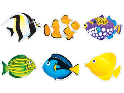 Colorful Fish Accents at Lakeshore Learning