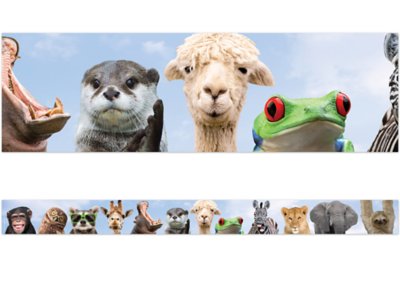 Go Wild Animals Border at Lakeshore Learning