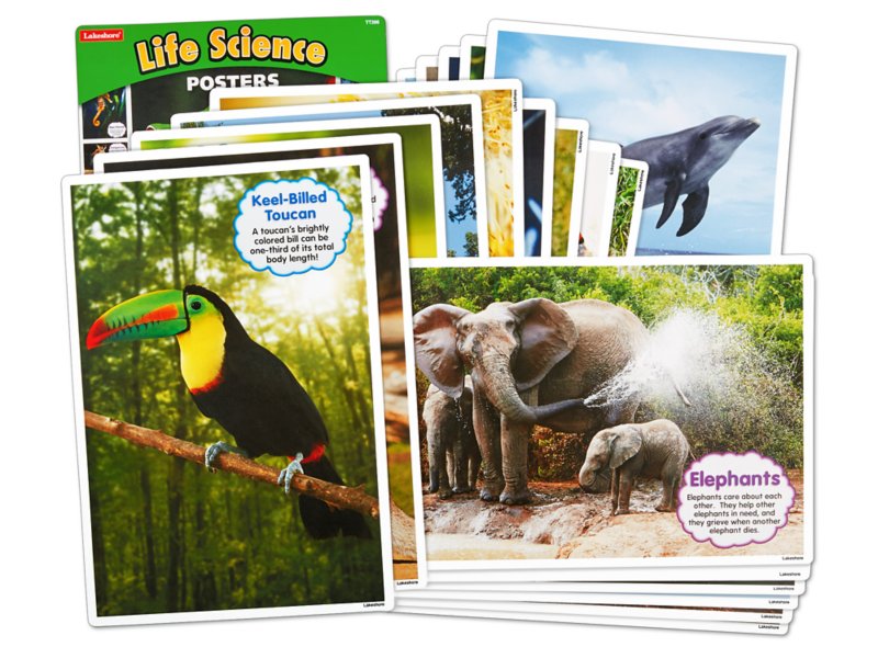 Life Science Pictures Animals
