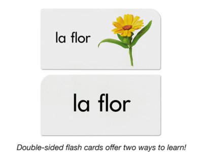 Spanish Words Flash Card Library at Lakeshore Learning