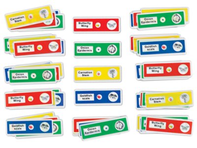 Microscope Slide Packs - Set of 36 at Lakeshore Learning