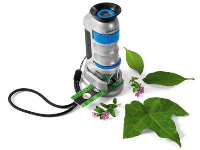 Science | Experiments for Kids | Classroom Games | Lakeshore®